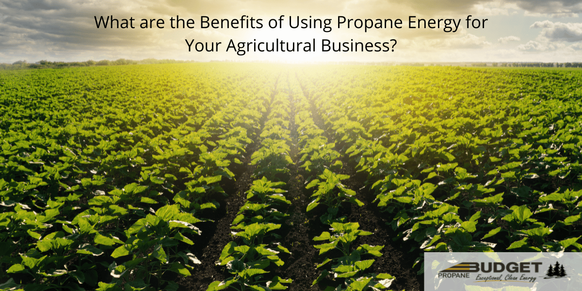 Here's the Benefits of Using Propane Gas for Your Farming Business